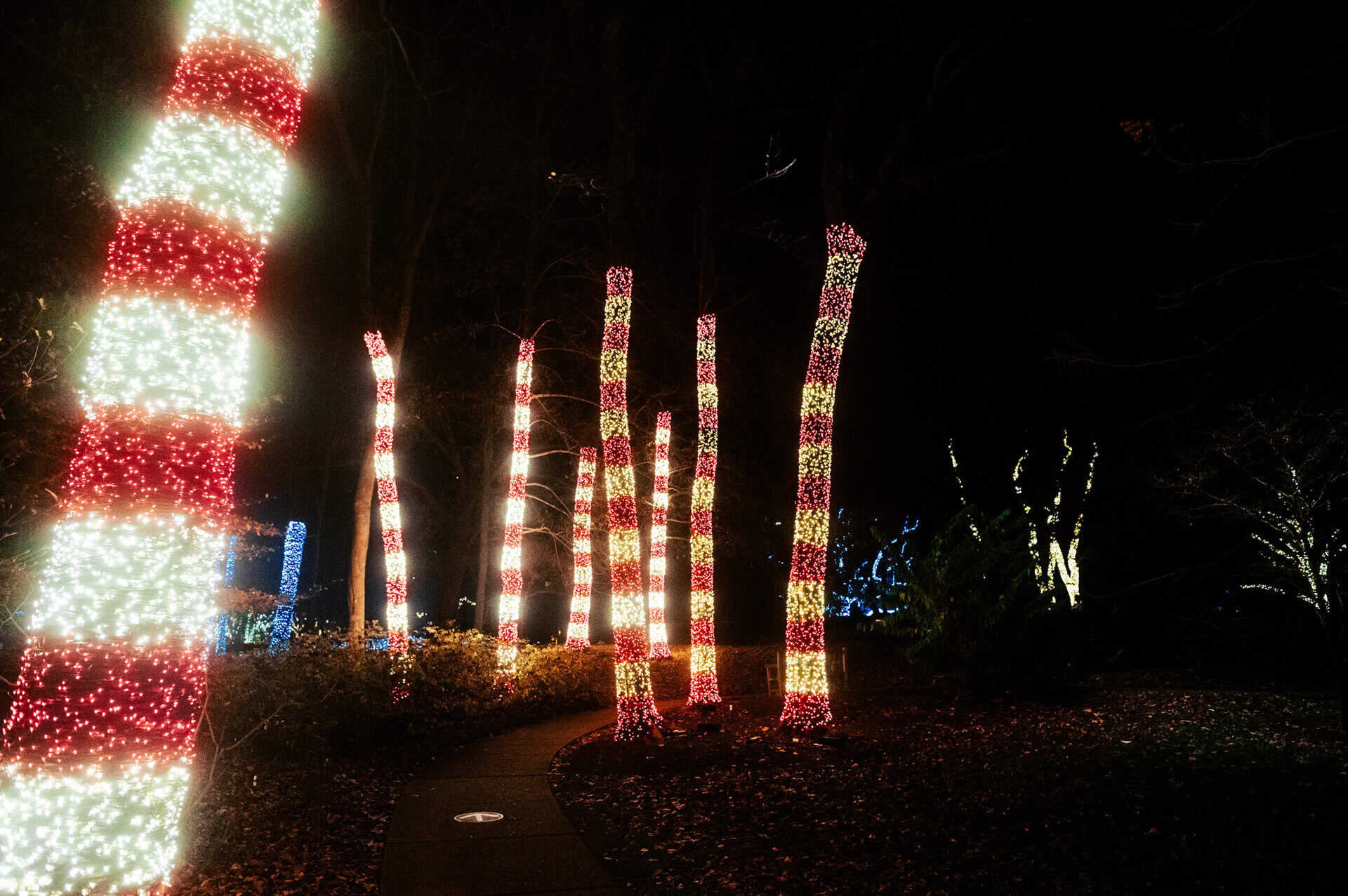 Holiday Lights at Cheekwood Tour - Gray Line Tennessee
